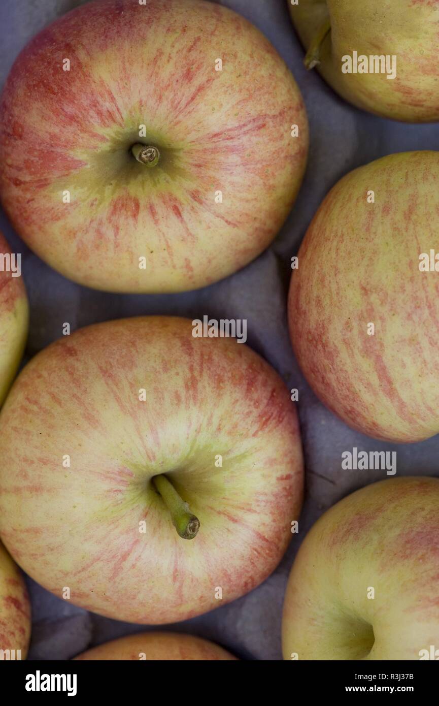 Apples round shape hi-res stock photography and images - Alamy