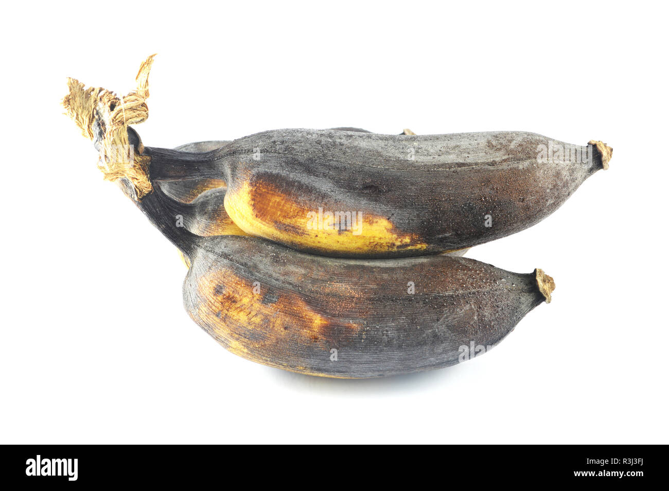 Over ripe bananas / old fruit banana ripe isolated on white background ...