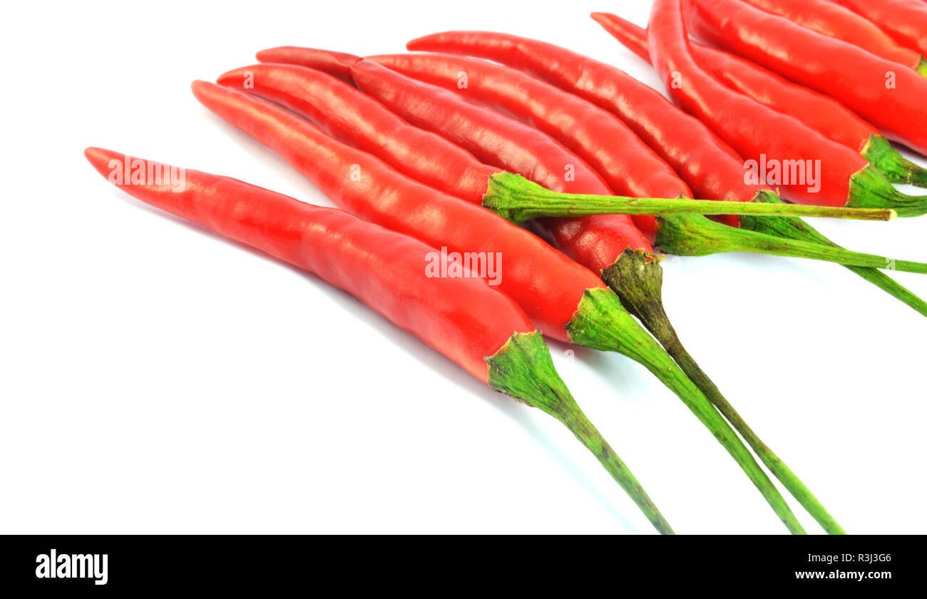 Chilli peppers isolated / fresh red chilli peppers isolated on white ...