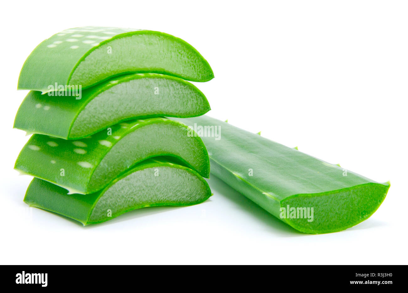 Disc cactus hi-res stock photography and images - Alamy