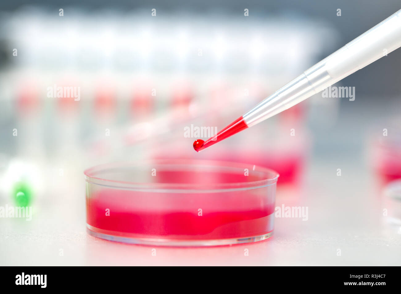 Drop drip science experiment pipette hi-res stock photography and ...