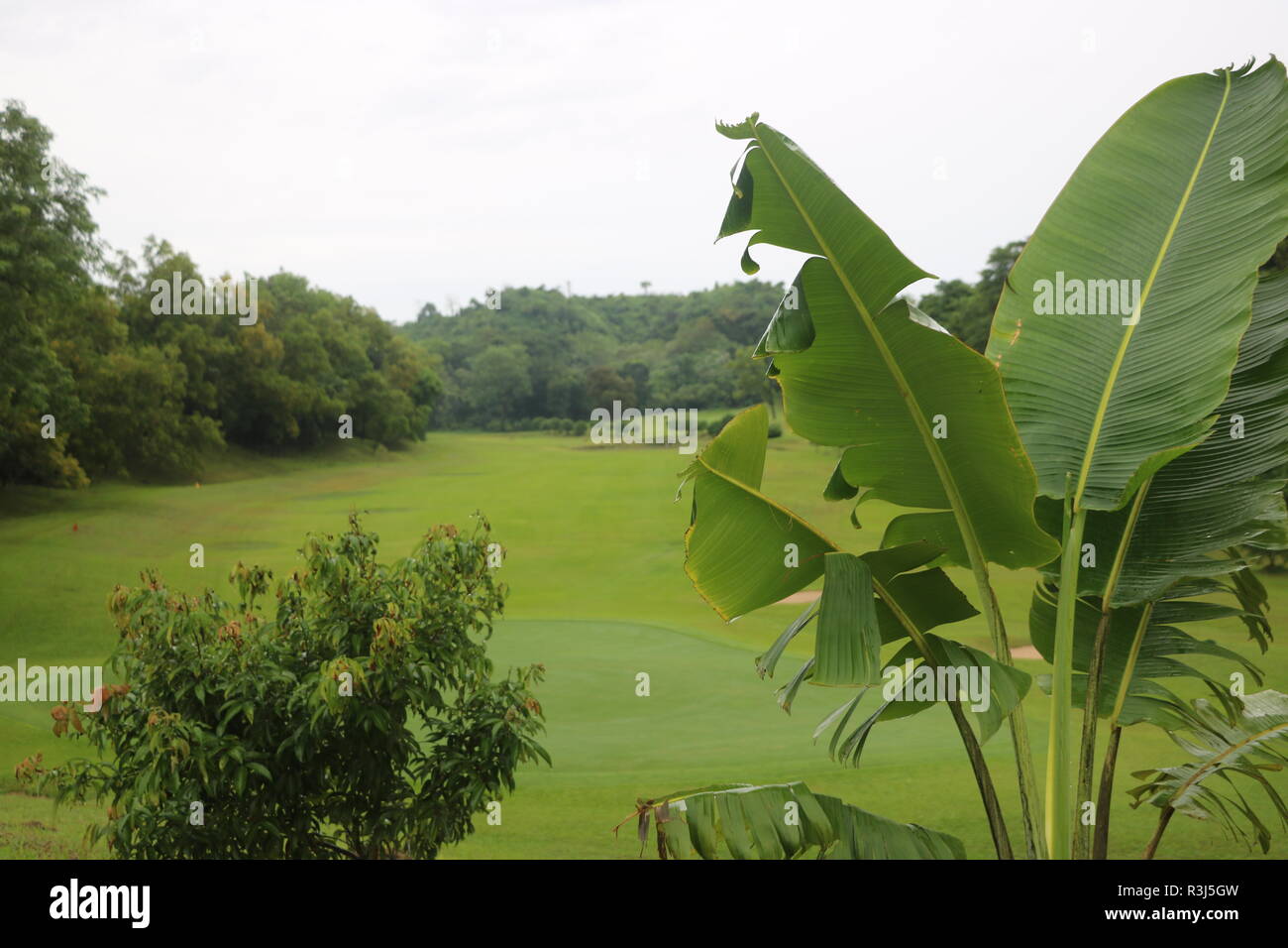 Beautiful play ground Stock Photo - Alamy