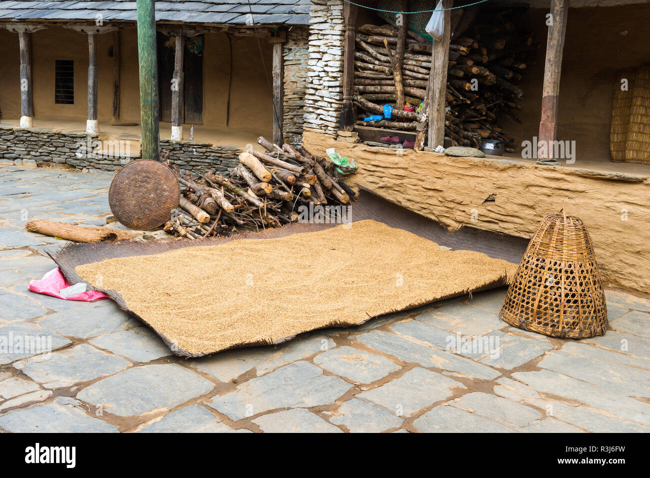 Rice drying hi-res stock photography and images - Alamy