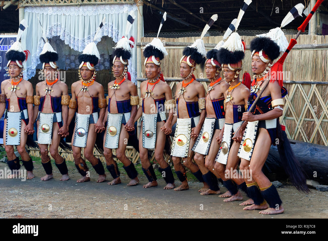 Tribal ritual dance at the Hornbill Festival, Kohima, Nagaland, India ...