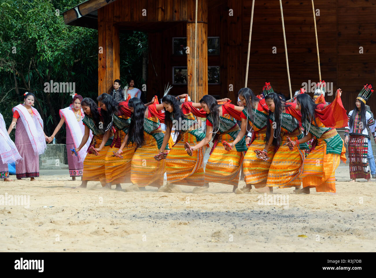 Tribal ritual dance at the Hornbill Festival, Kohima, Nagaland, India ...