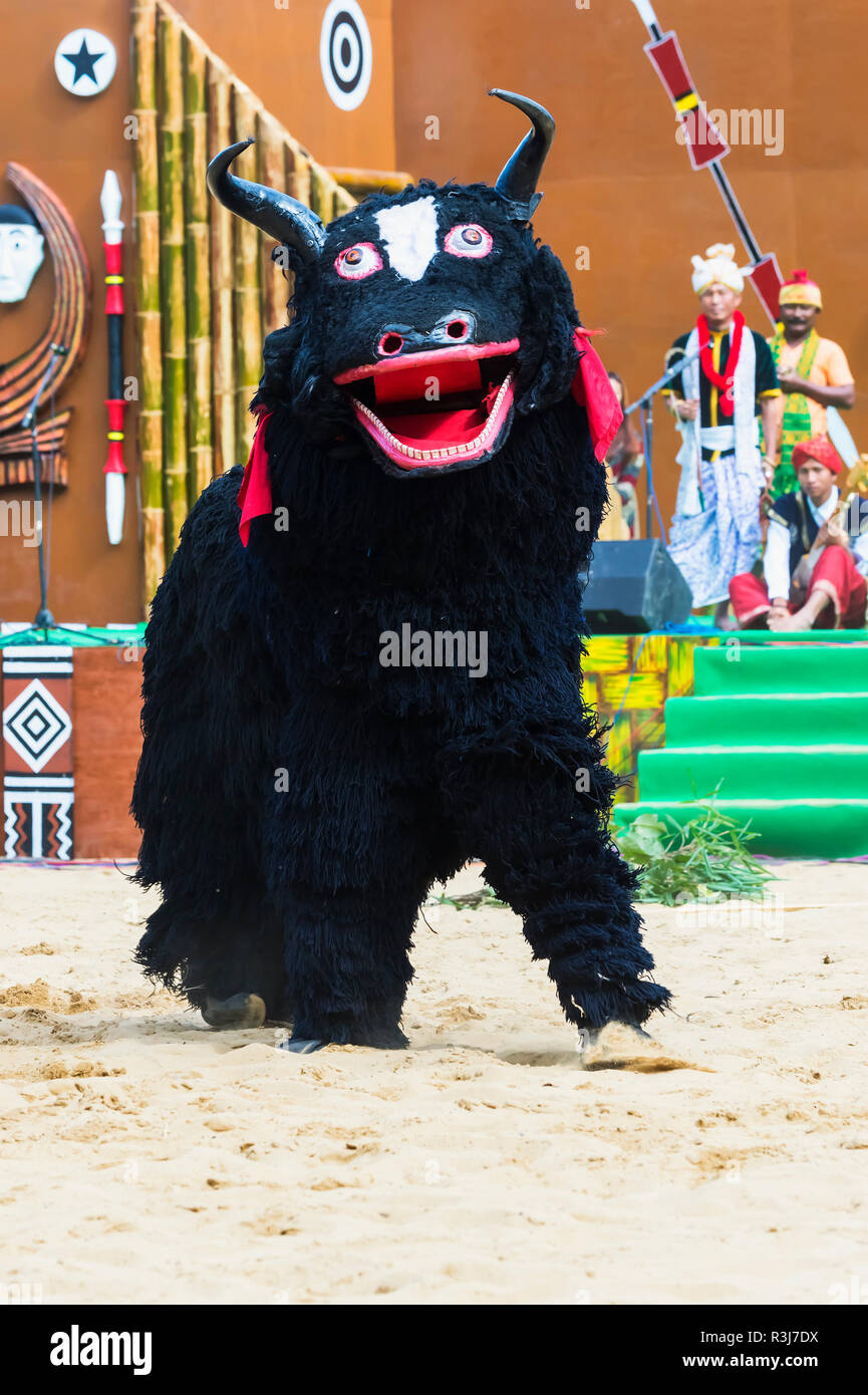 Tribal ritual dance at the Hornbill Festival, Kohima, Nagaland, India ...