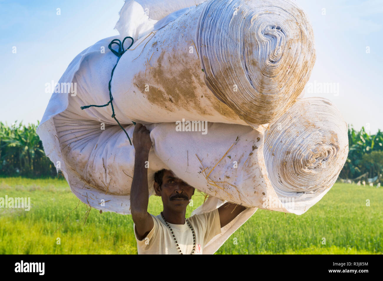 Nepalese Man from the Tharu ethnic group carrying big tissue roll on ...