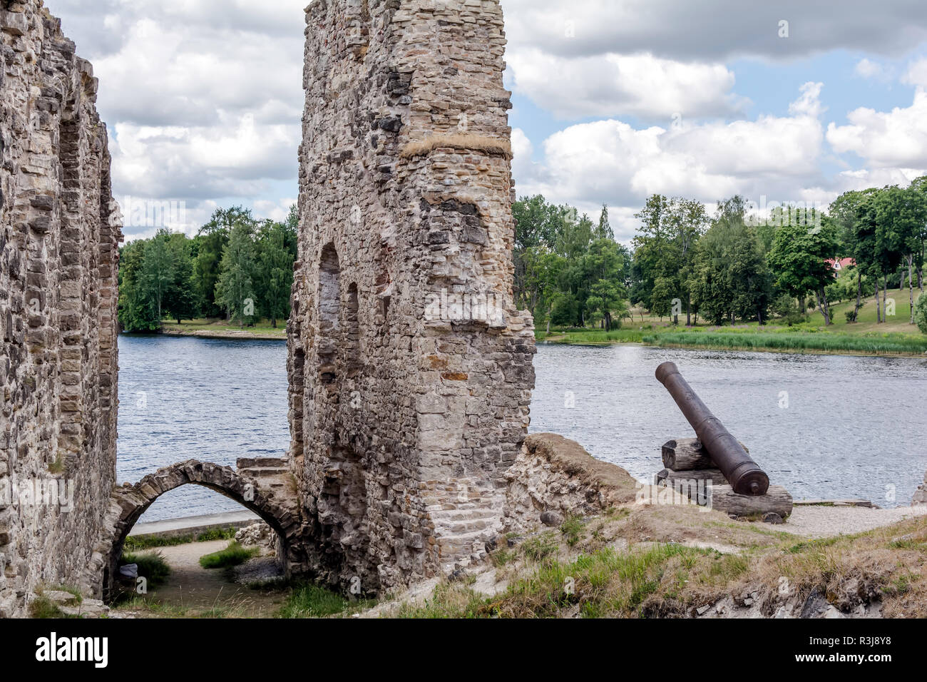 Ruins and cannon of Koknese Castle over the waters of two rivers ...