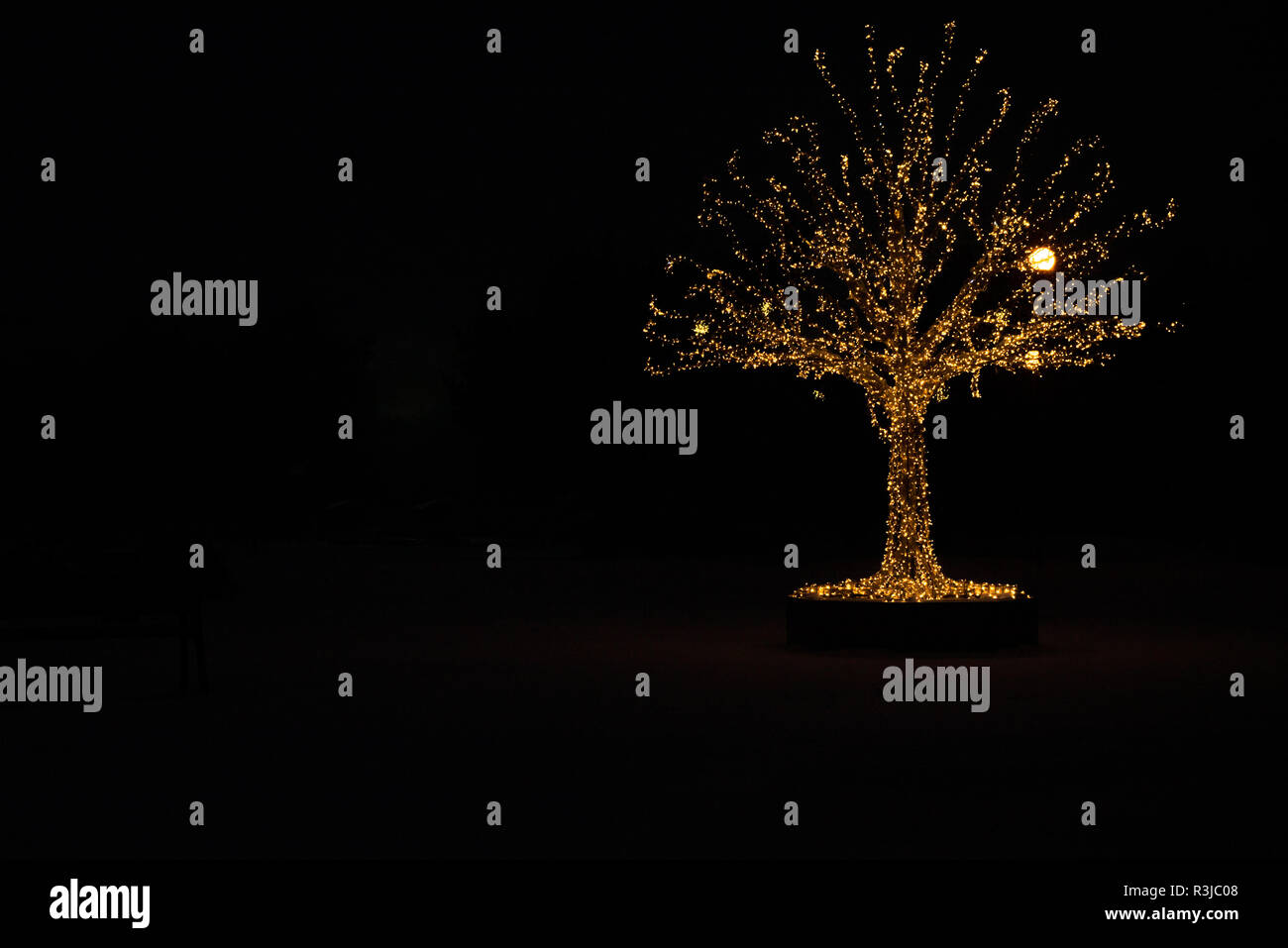 Gold lights Christmas Tree Stock Photo - Alamy