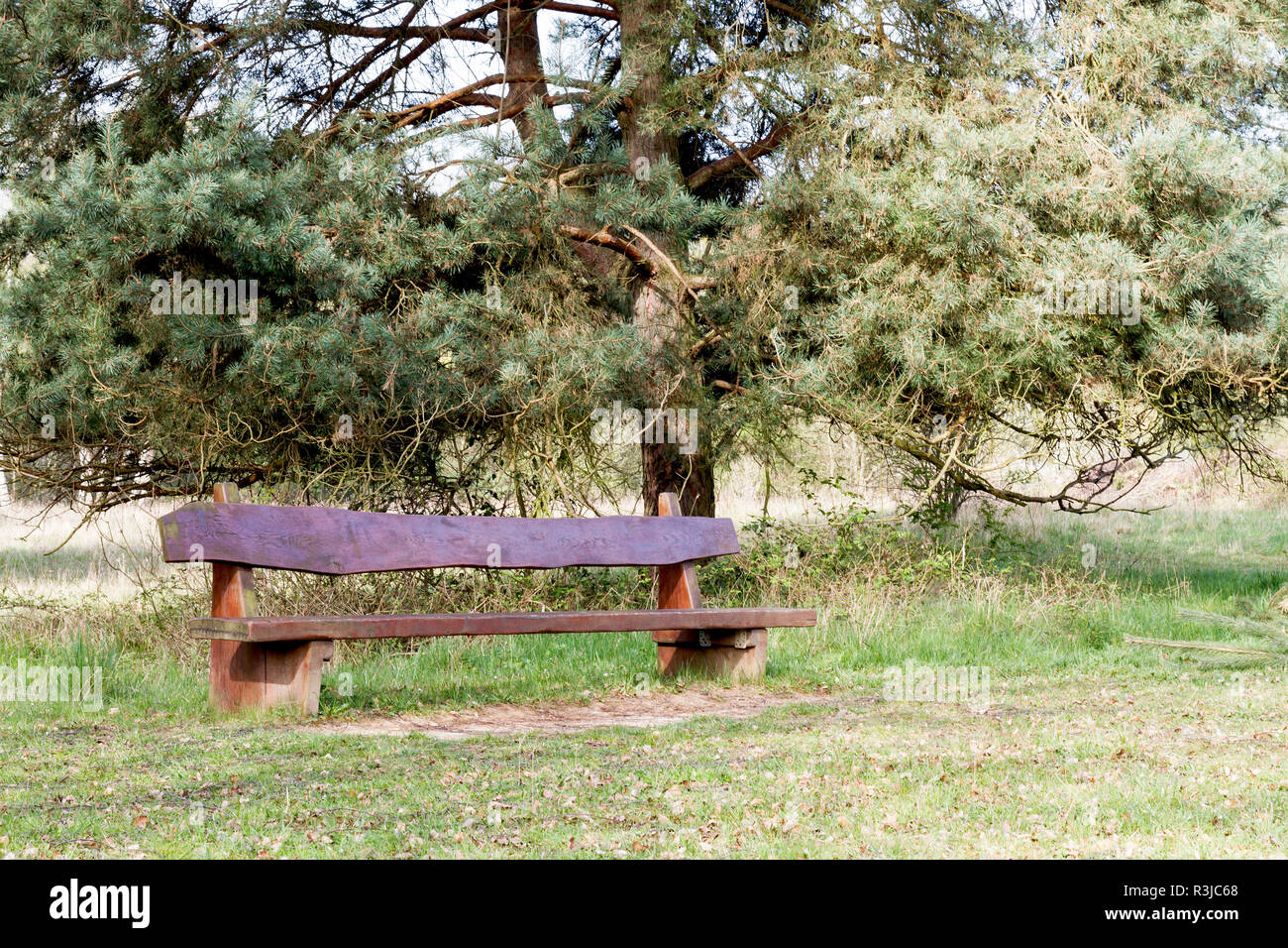 outdoor bench with tree in background Stock Photo - Alamy