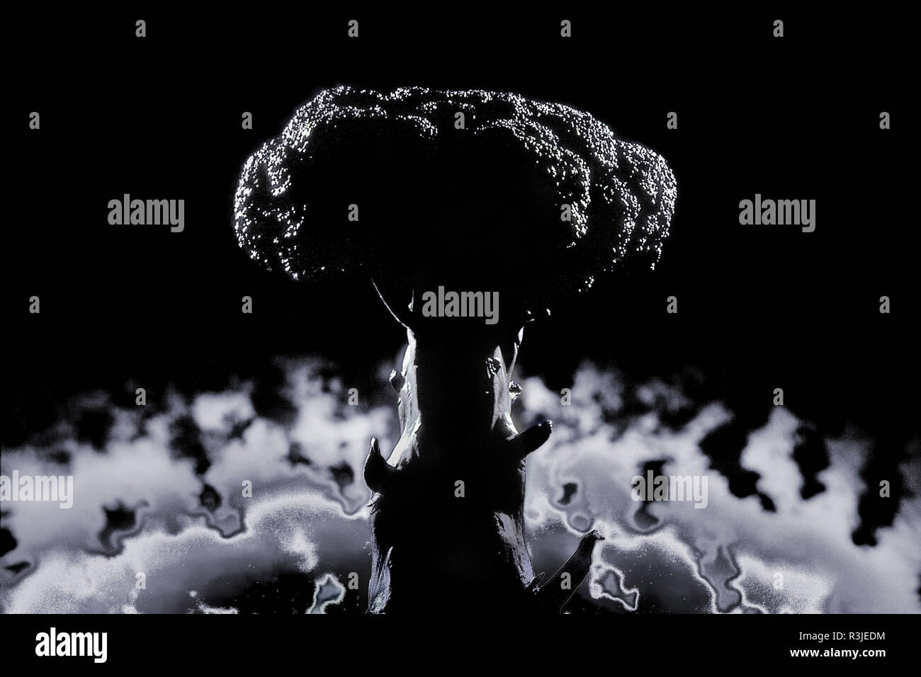 Atompilz hi-res stock photography and images - Alamy