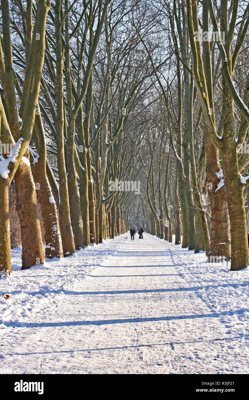 winter alley with walkers Stock Photo - Alamy