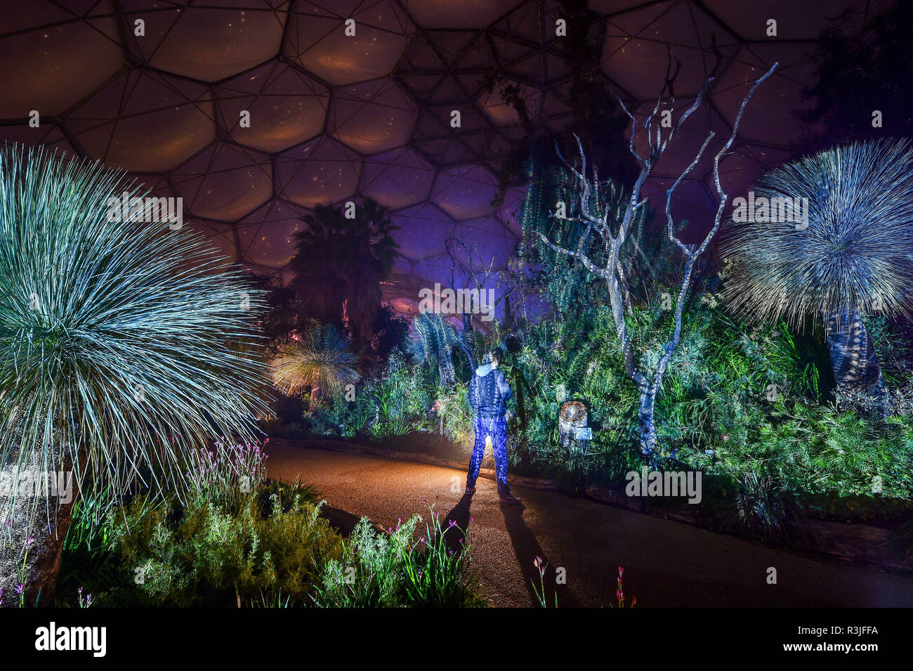 Trees and plants are illuminated in the Mediterranean biome at Eden ...