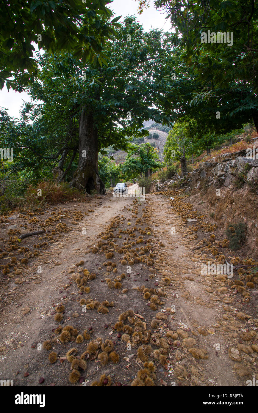 Elos hi-res stock photography and images - Alamy