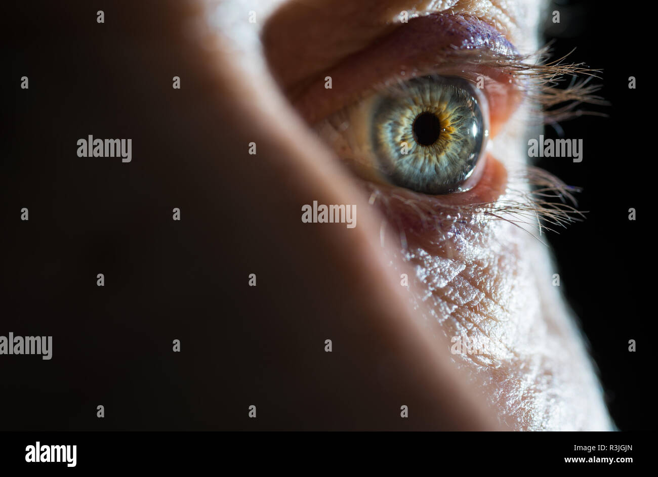 Human eye macro shoot hi-res stock photography and images - Alamy