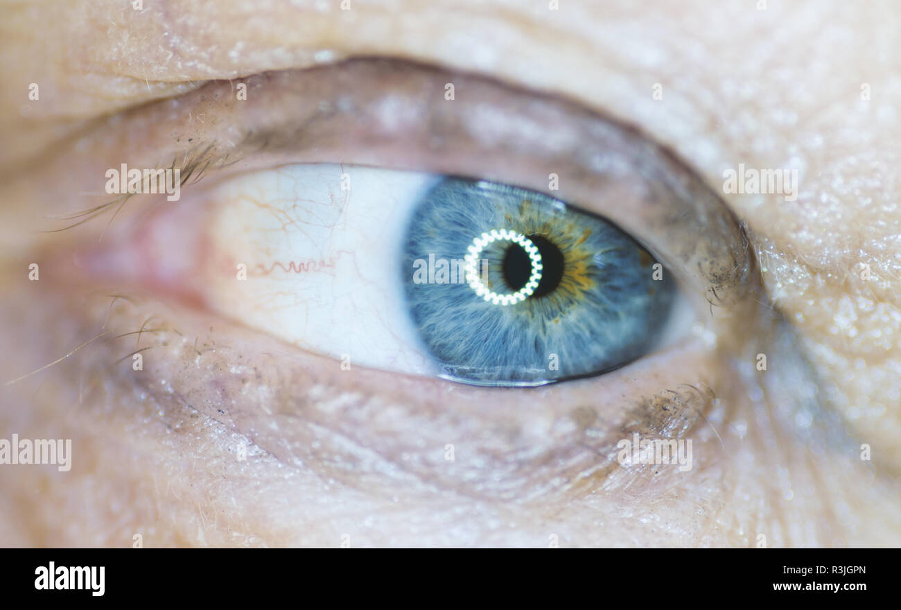 Human eye macro shoot hi-res stock photography and images - Alamy