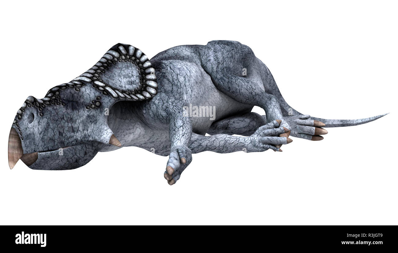 Protoceratops andrewsi hi-res stock photography and images - Alamy