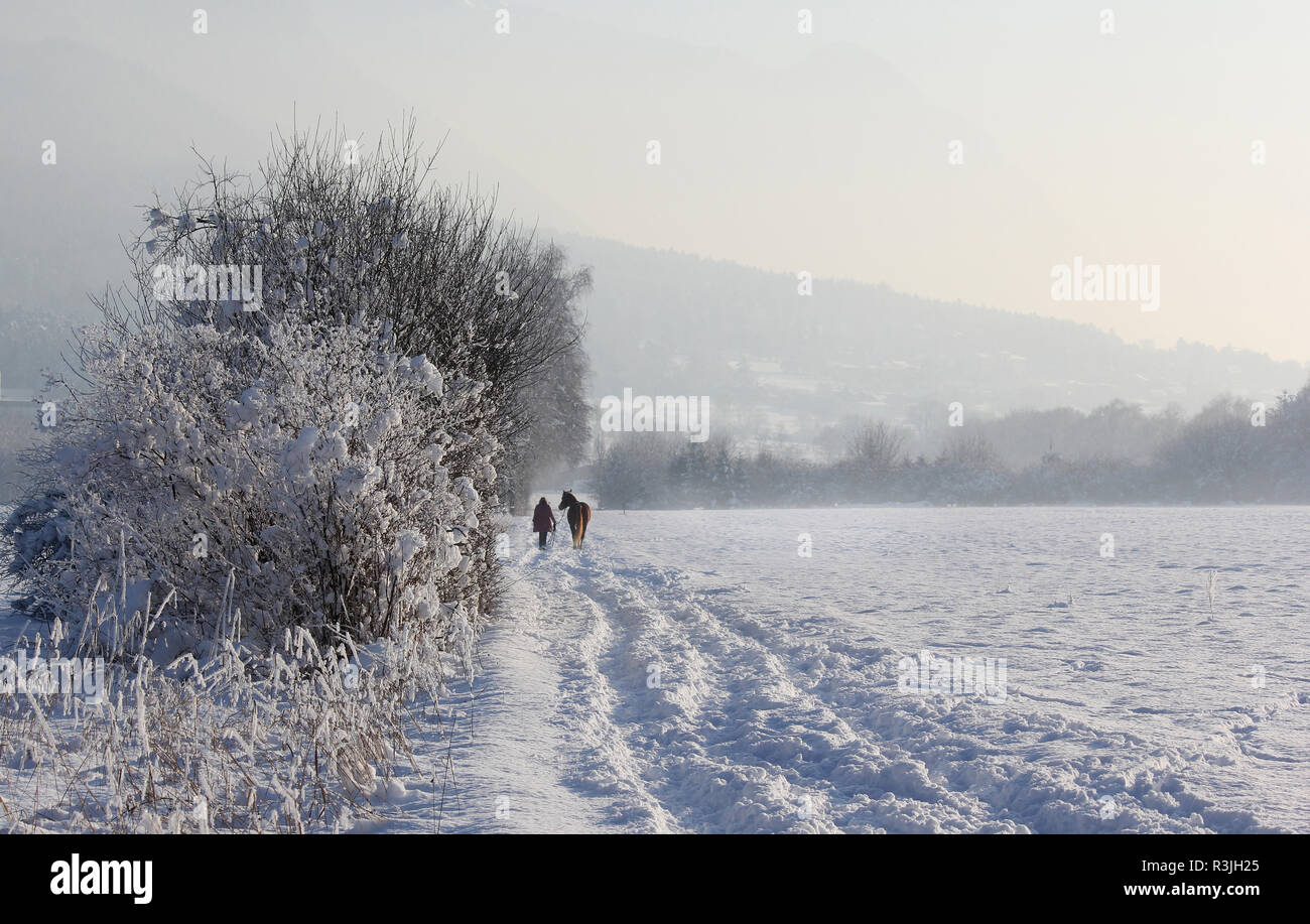 winter day 1 Stock Photo - Alamy