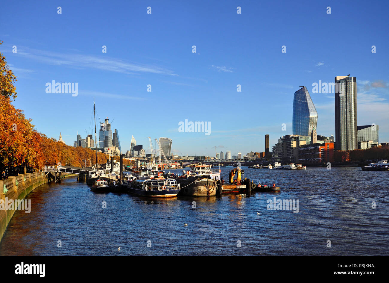 London embankment trees hi-res stock photography and images - Alamy