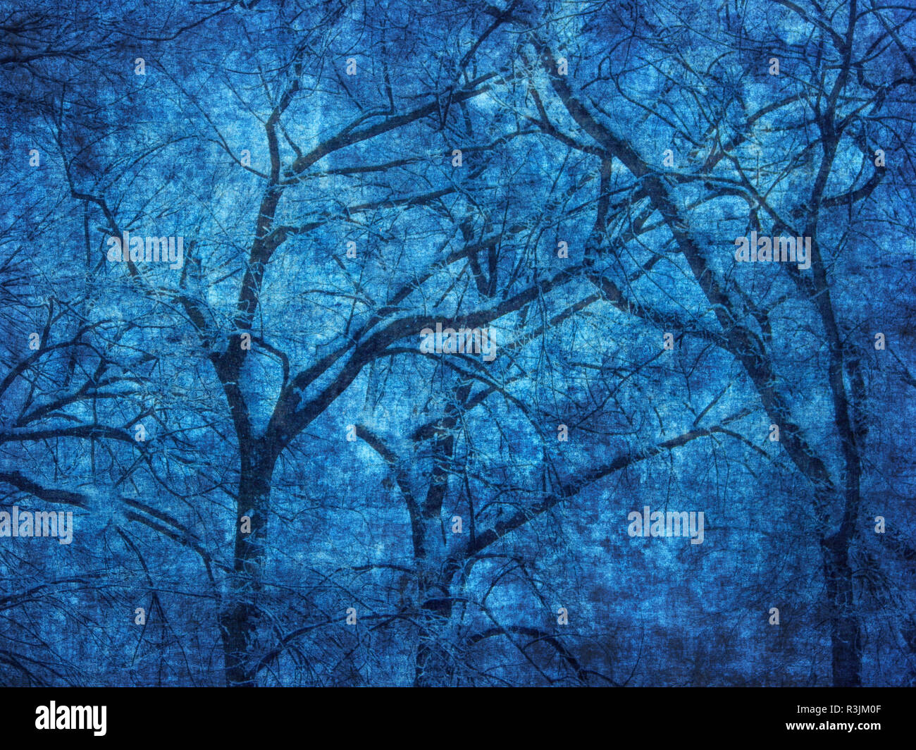 Canada. Blue abstract of trees Stock Photo - Alamy