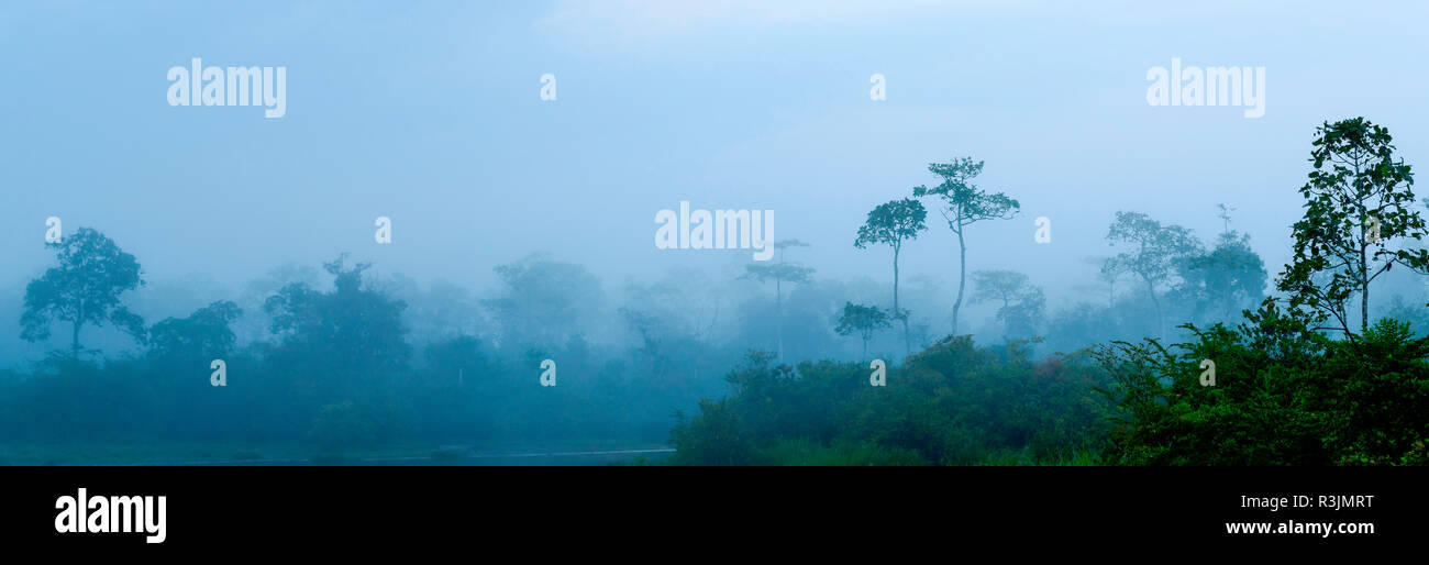 Congo basin hi-res stock photography and images - Alamy
