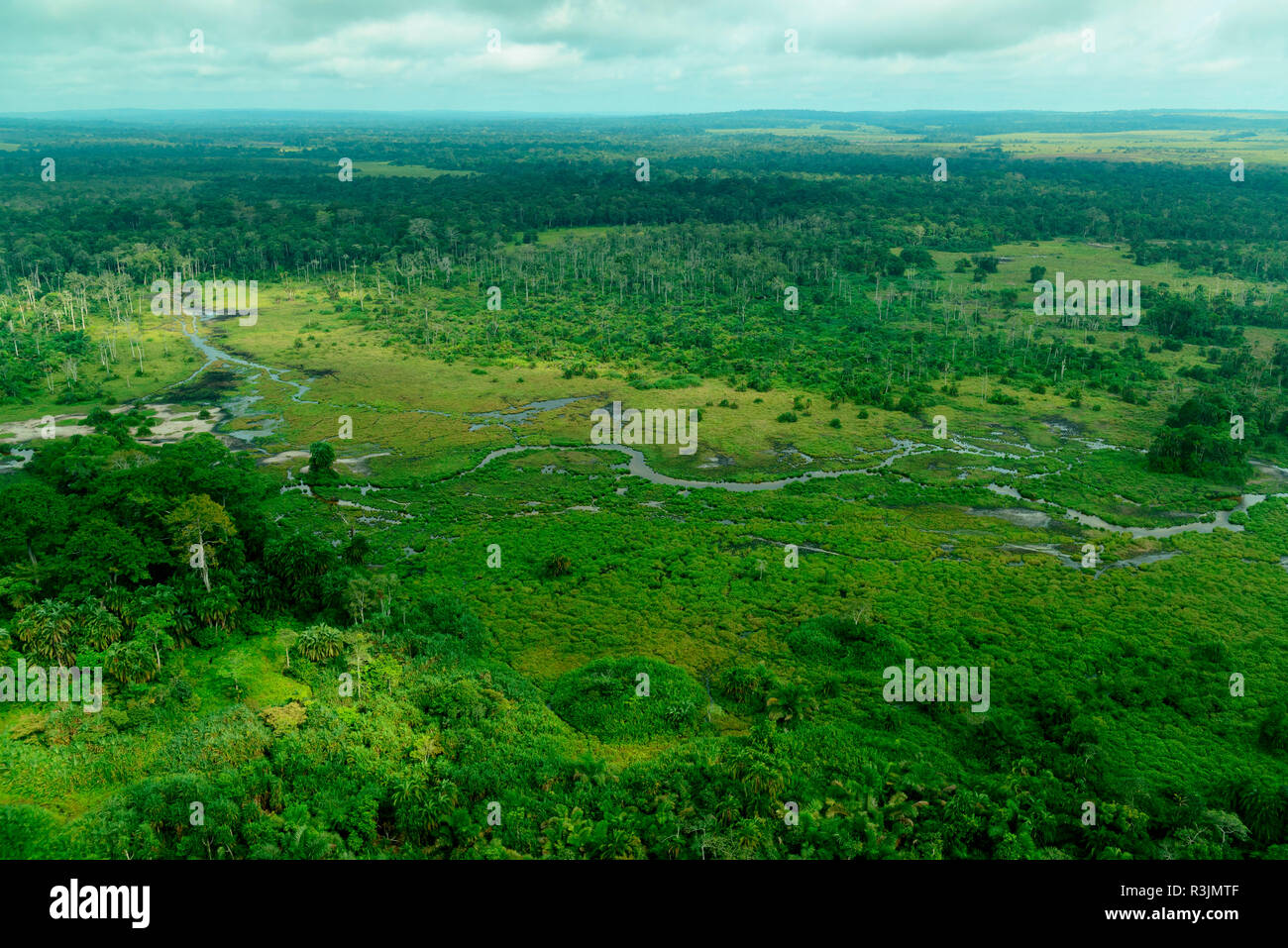 Congo basin hi-res stock photography and images - Alamy