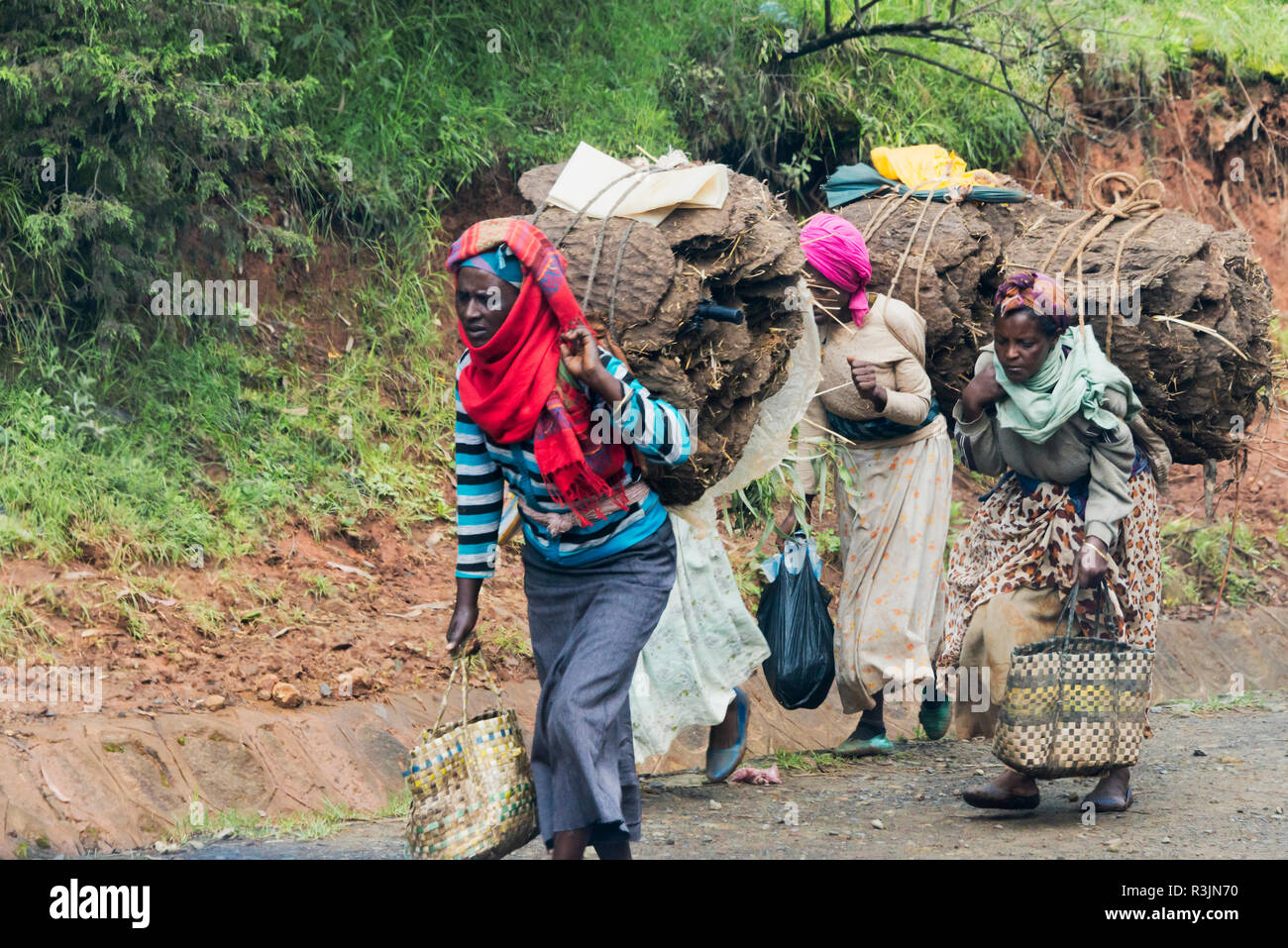 Woman carrying cow dung africa hi-res stock photography and images - Alamy