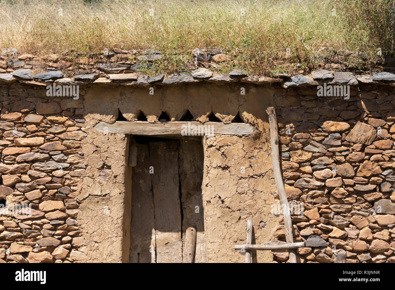 Grat beal gebri hi-res stock photography and images - Alamy