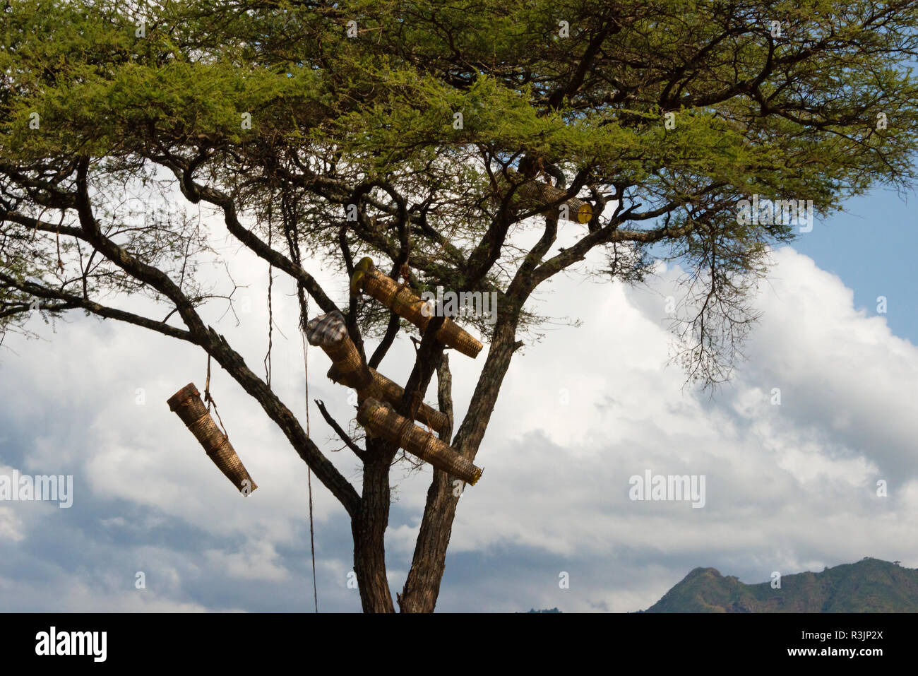 Abijata shalla national park hi-res stock photography and images - Alamy