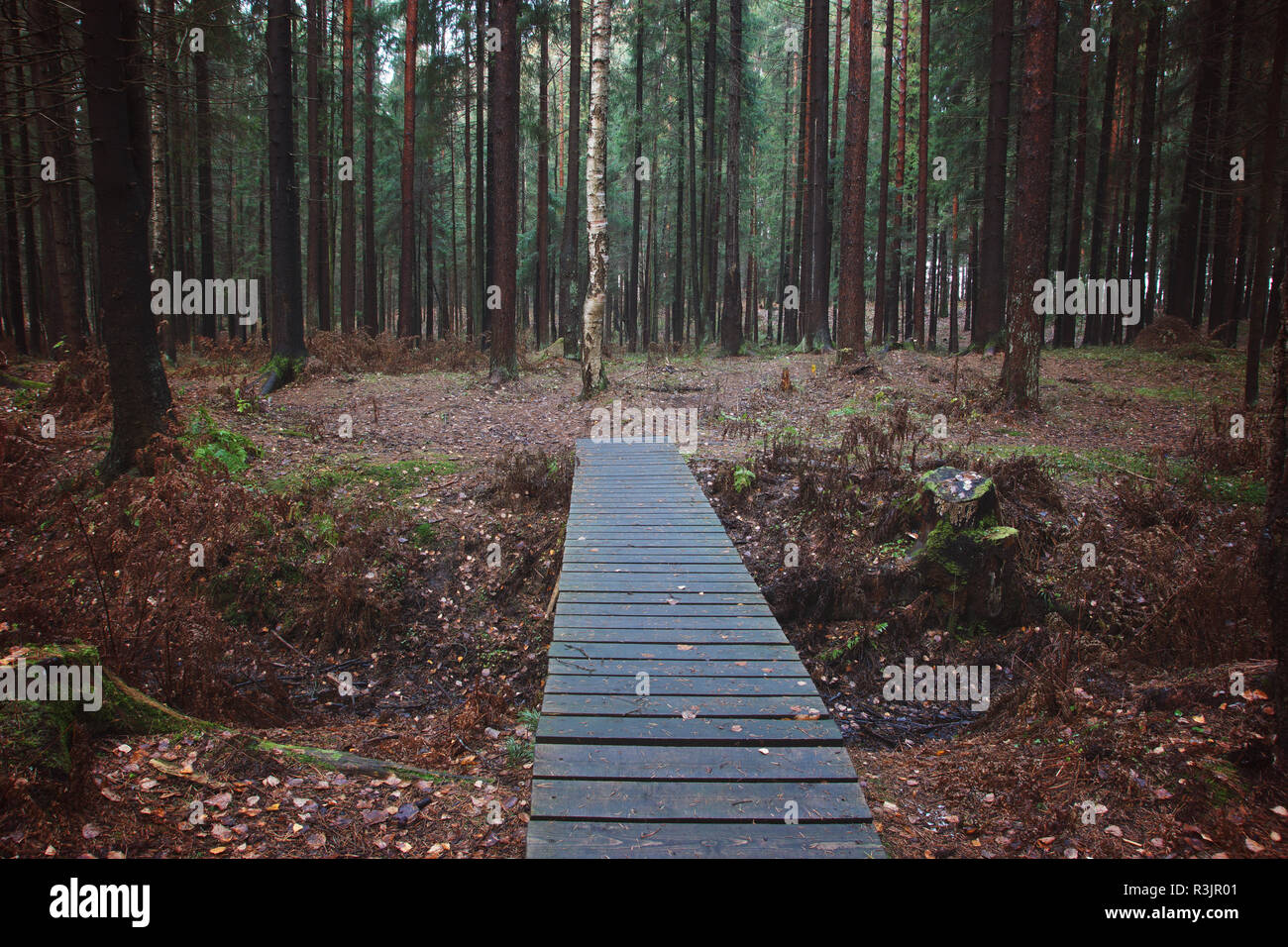 Wooden bridge over a ditch hi-res stock photography and images - Alamy