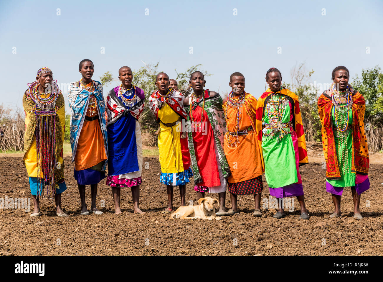 Africa, Kenya, Masai Mara National Reserve, Mara Ashnil region. Local ...
