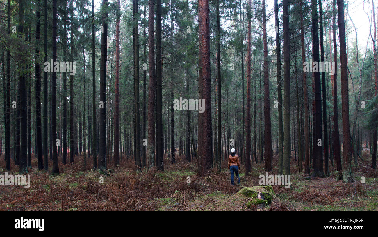 Accordunity hi-res stock photography and images - Alamy