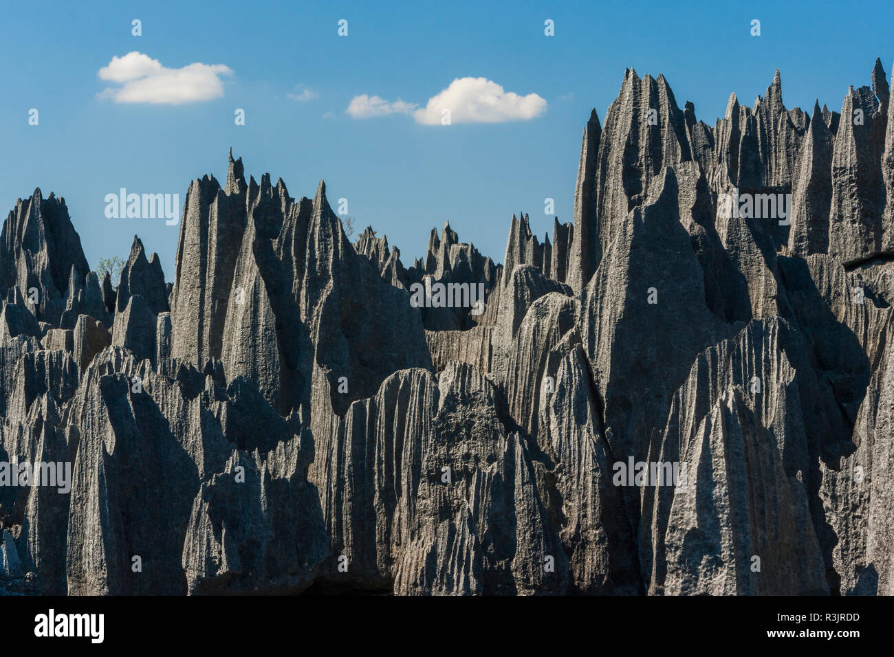 Tsingy de bemaraha strict nature reserve hi-res stock photography and ...