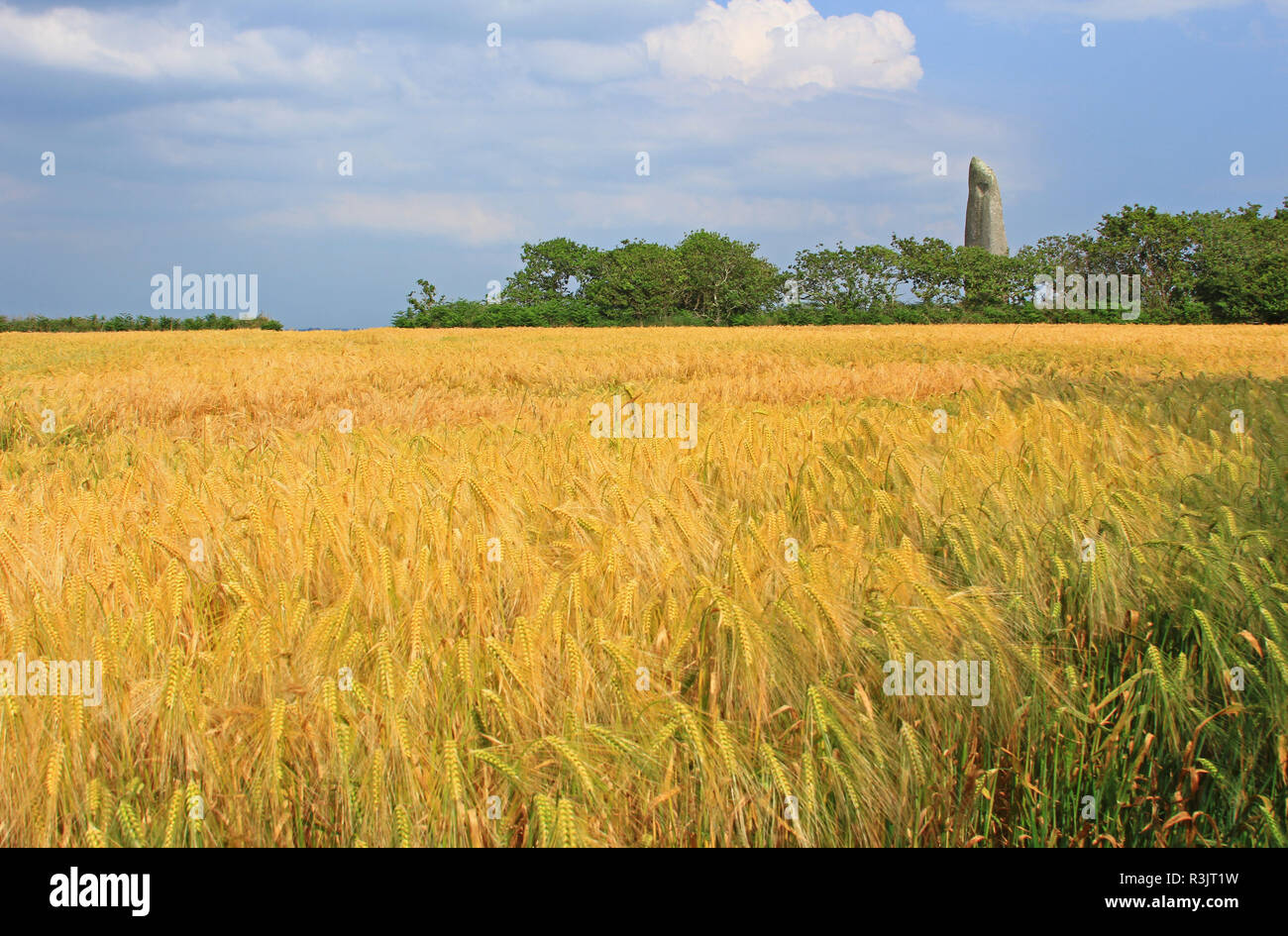 Menhir de kerloas hi-res stock photography and images - Alamy