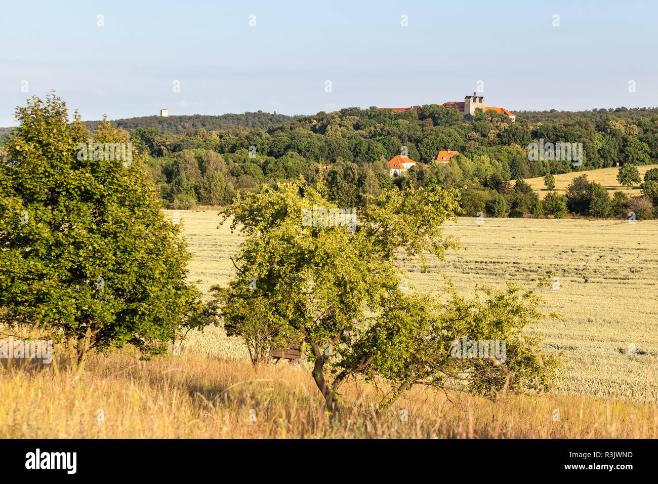Ballenstedter castle hi-res stock photography and images - Alamy