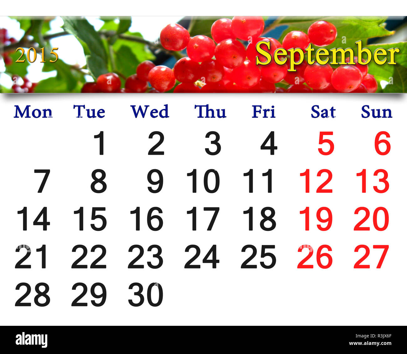 Picture red snowball tree hi-res stock photography and images - Alamy