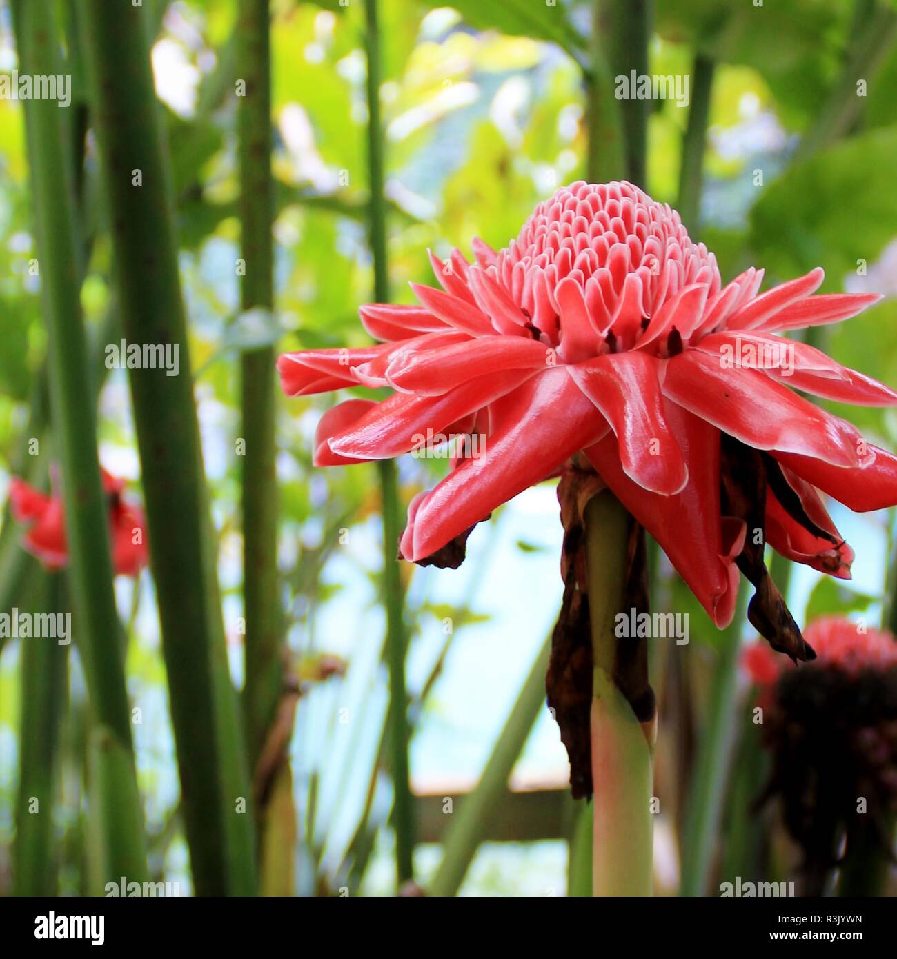 Imposing forms hi-res stock photography and images - Alamy