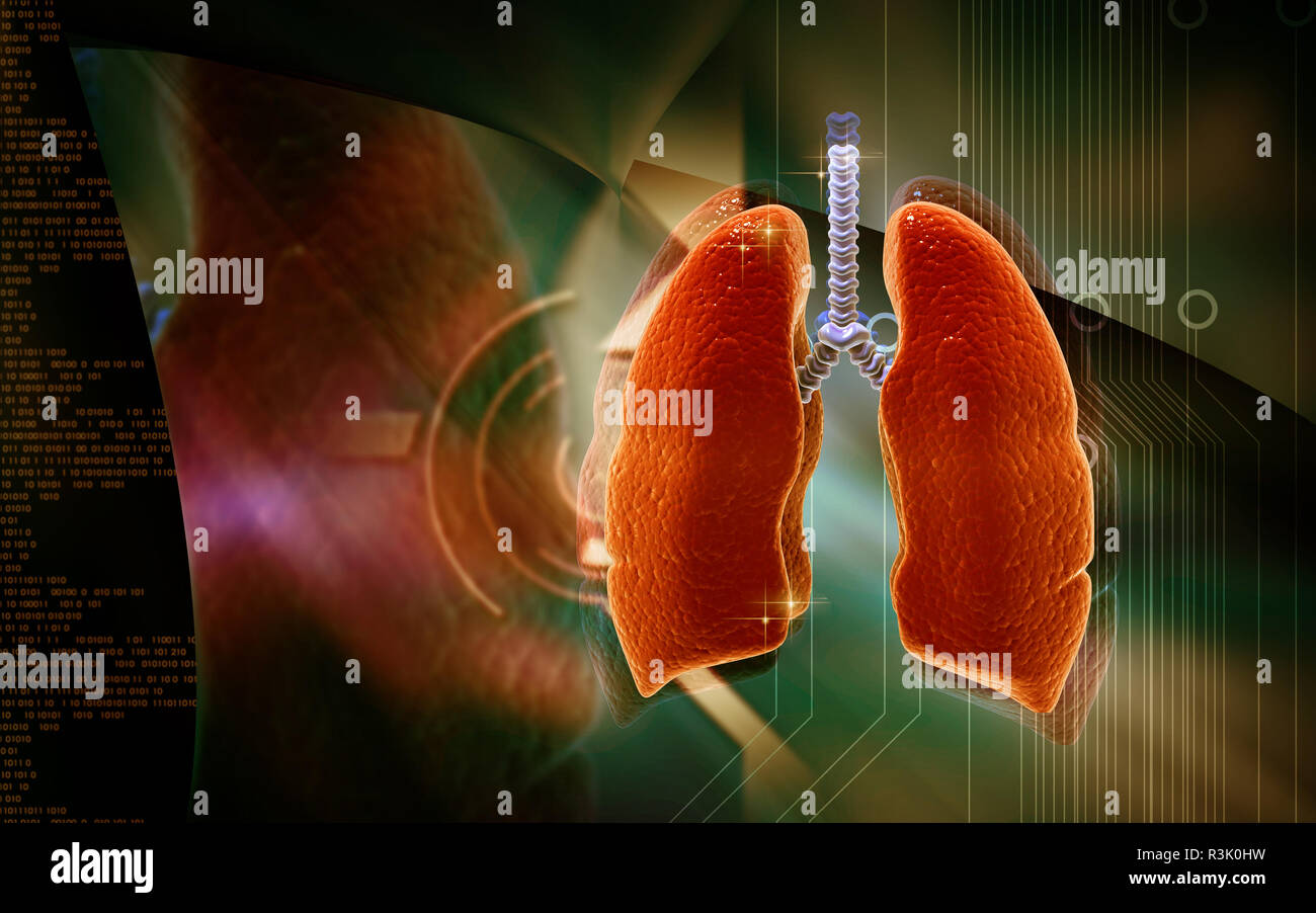 Larynx xray hi-res stock photography and images - Alamy