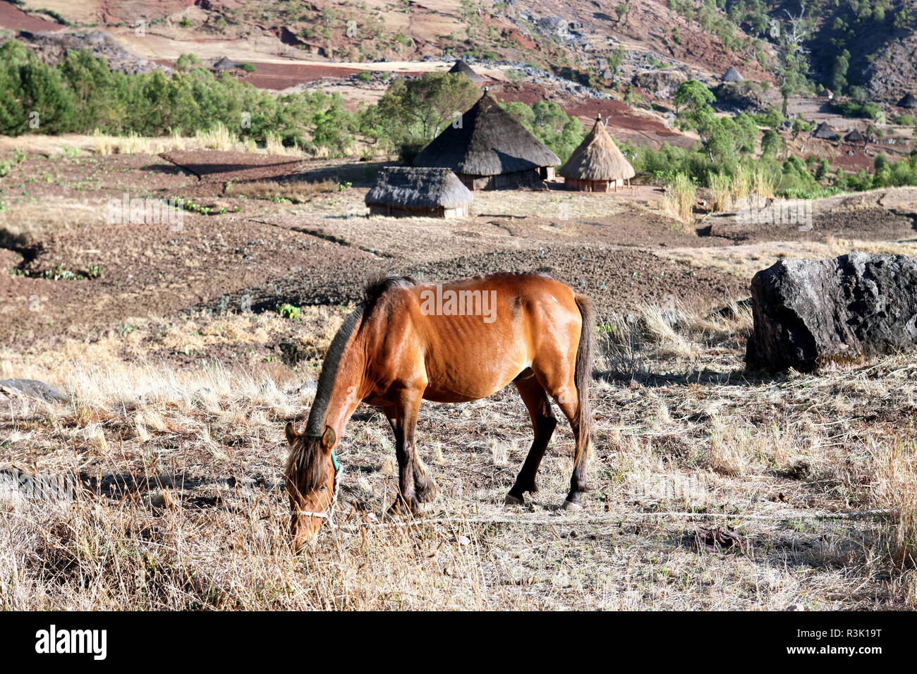 east timor timor-leste maubisse mountain village Stock Photo - Alamy