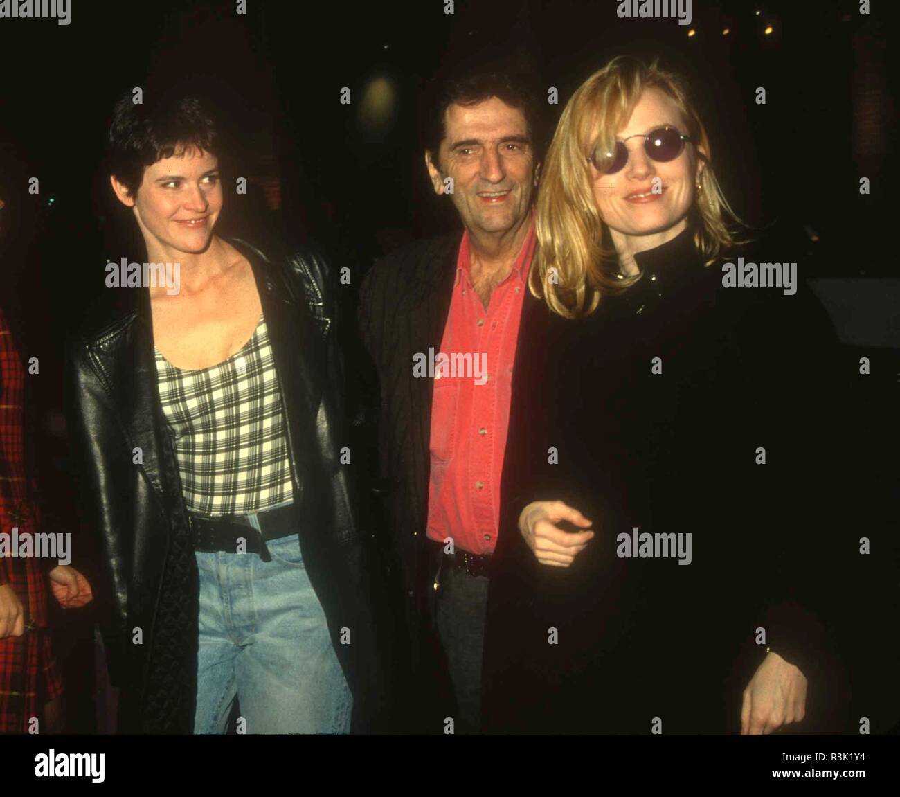 HOLLYWOOD, CA - FEBRUARY 10: (L-R) Actress Ally Sheedy, actor Harry ...