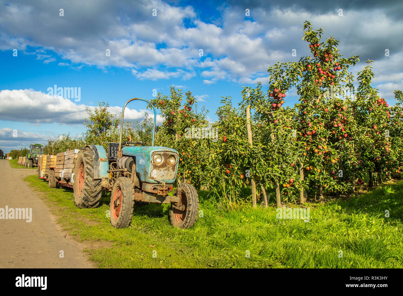 Altes Land - Germany Stock Photo - Alamy