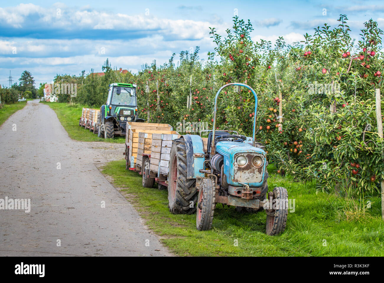 Altes Land - Germany Stock Photo - Alamy