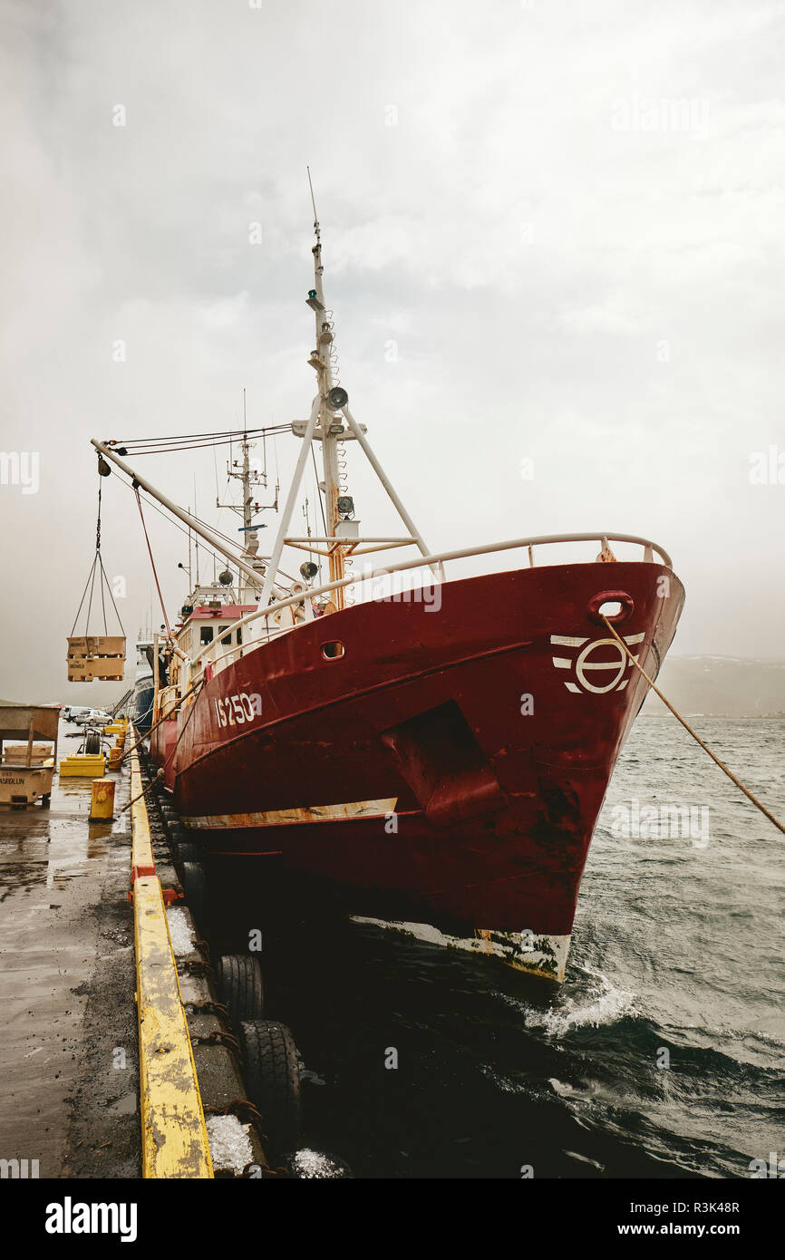 An Icelandic fishing trawler landing it's catch Isafjordur in the ...