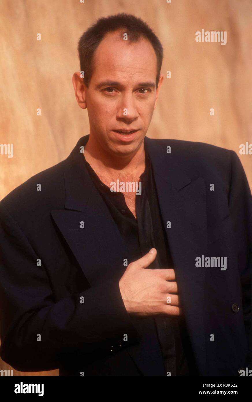 LOS ANGELES, CA - FEBRUARY 13: (EXCLUSIVE) Actor Miguel Ferrer poses at ...