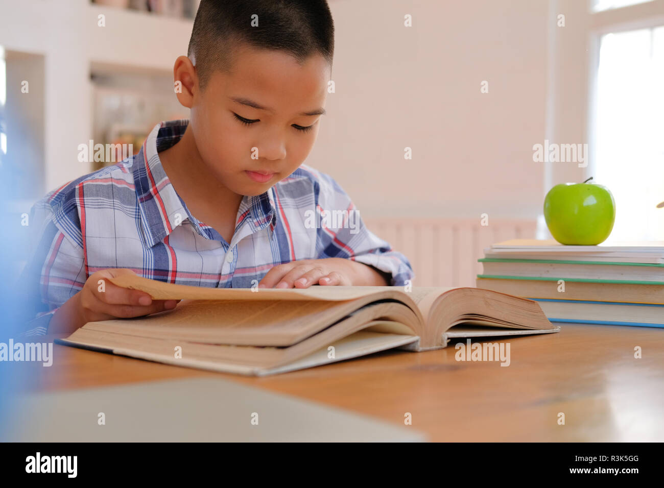 young little asian kid boy child children schoolboy studying reading ...