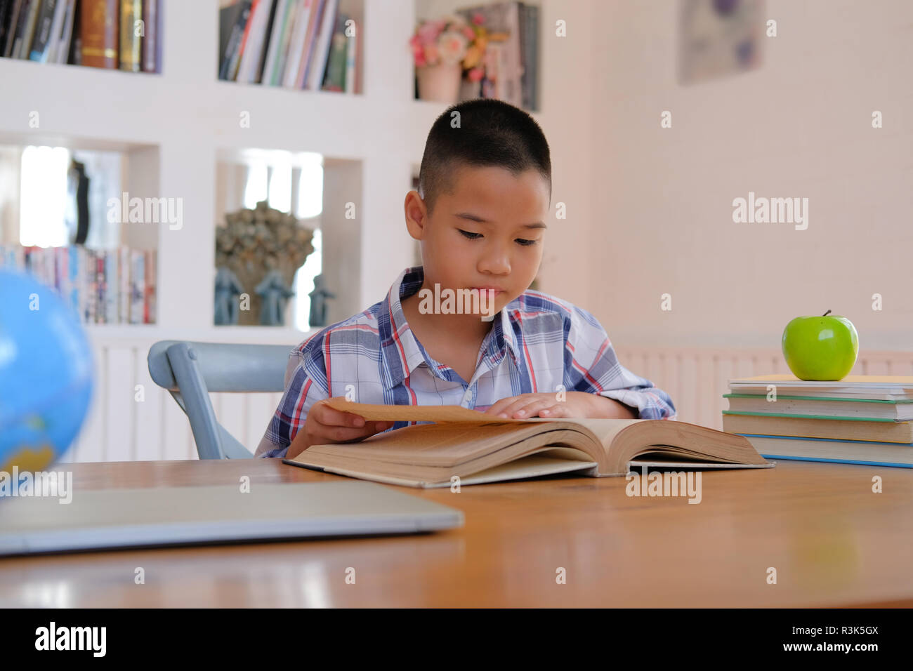 young little asian kid boy child children schoolboy studying reading ...