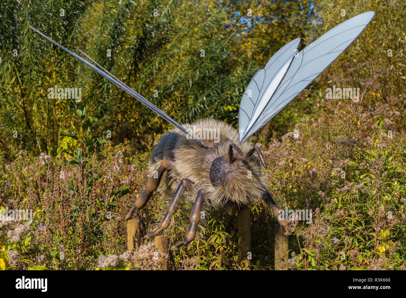 Giant big insect sculpture hi-res stock photography and images - Alamy