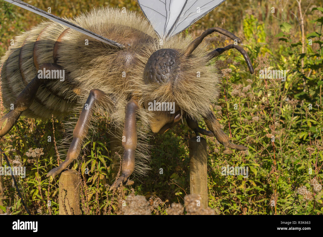 Giant model of a Fly at Slimbridge Stock Photo - Alamy
