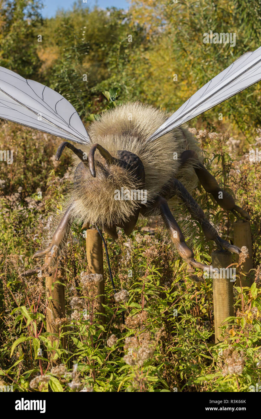 Giant model of a Fly at Slimbridge Stock Photo - Alamy