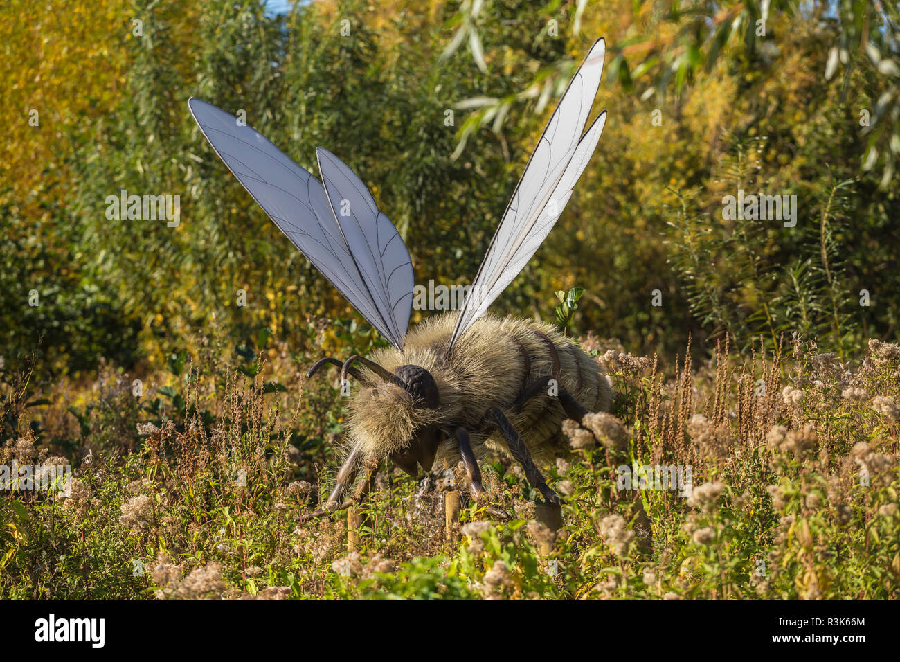 Giant model of a Fly at Slimbridge Stock Photo - Alamy